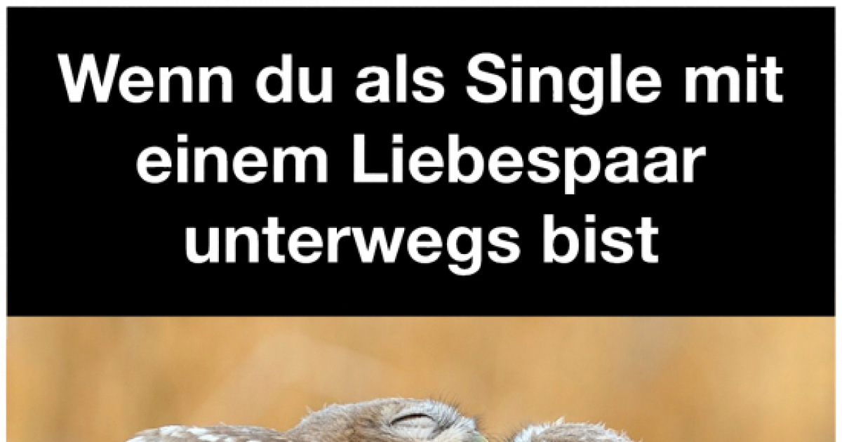 Neue Bilder und Memes - Liebes - lustig, kostenlos - DEBESTE.de