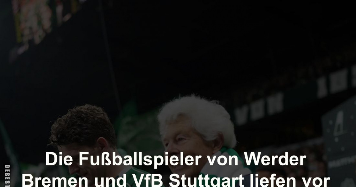 Neue Bilder und Memes - Vfb Stuttgart - lustig, kostenlos - DEBESTE.de