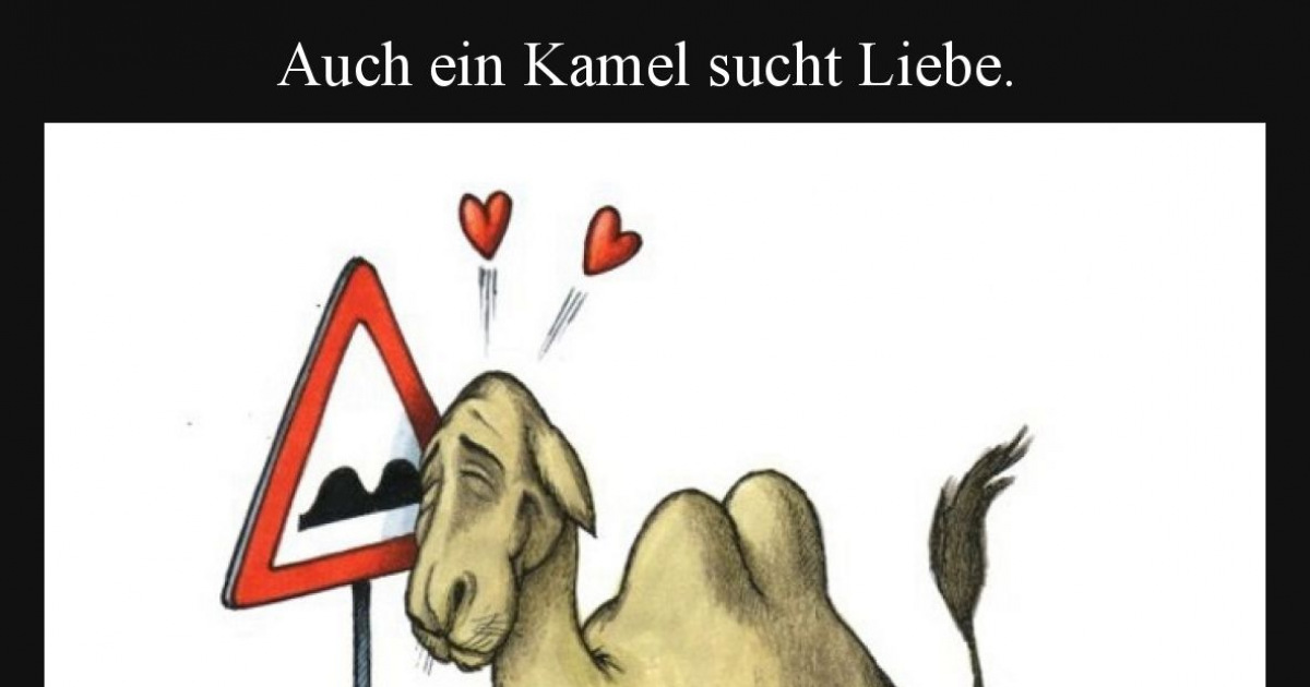 1540+ Neue lustige Bilder über die Liebe - Seite (222)