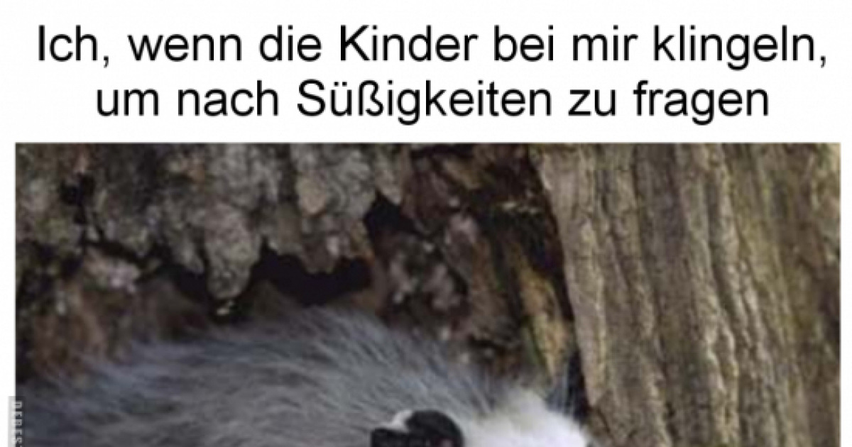 Neue Bilder und Memes - Finger Weg - lustig, kostenlos - DEBESTE.de