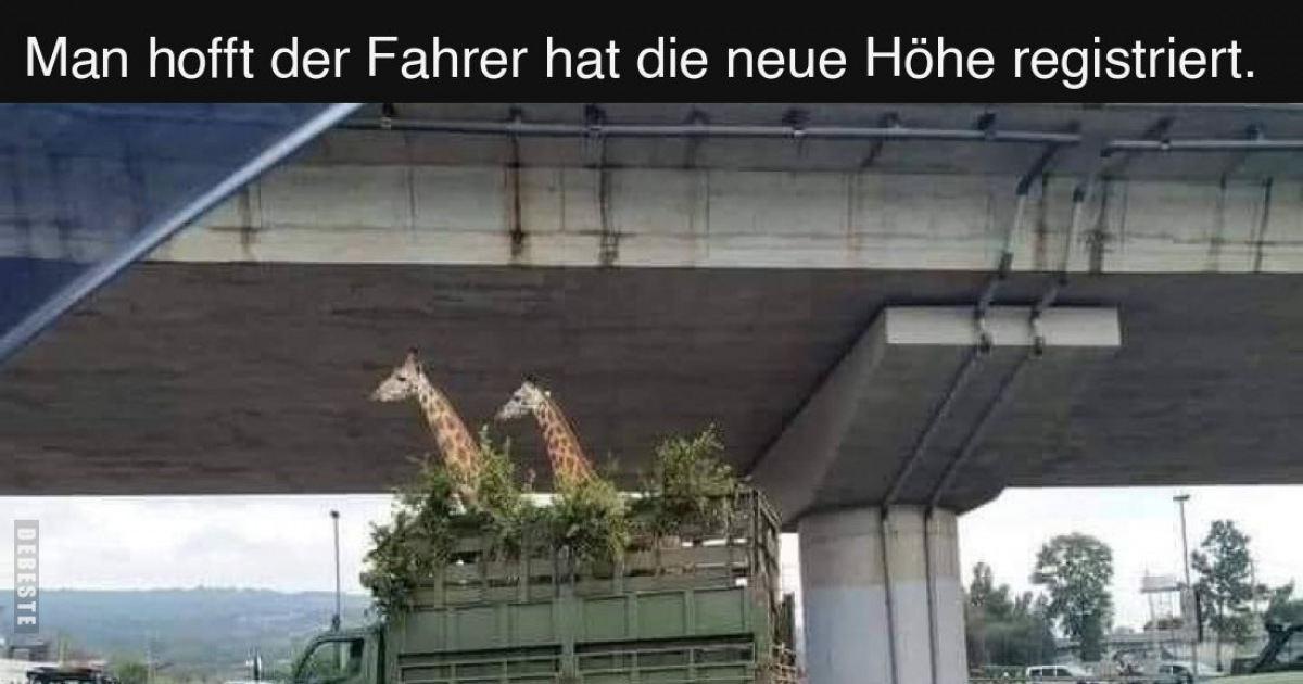 Neue Bilder und Memes - Der Fahrer - lustig, kostenlos - DEBESTE.de