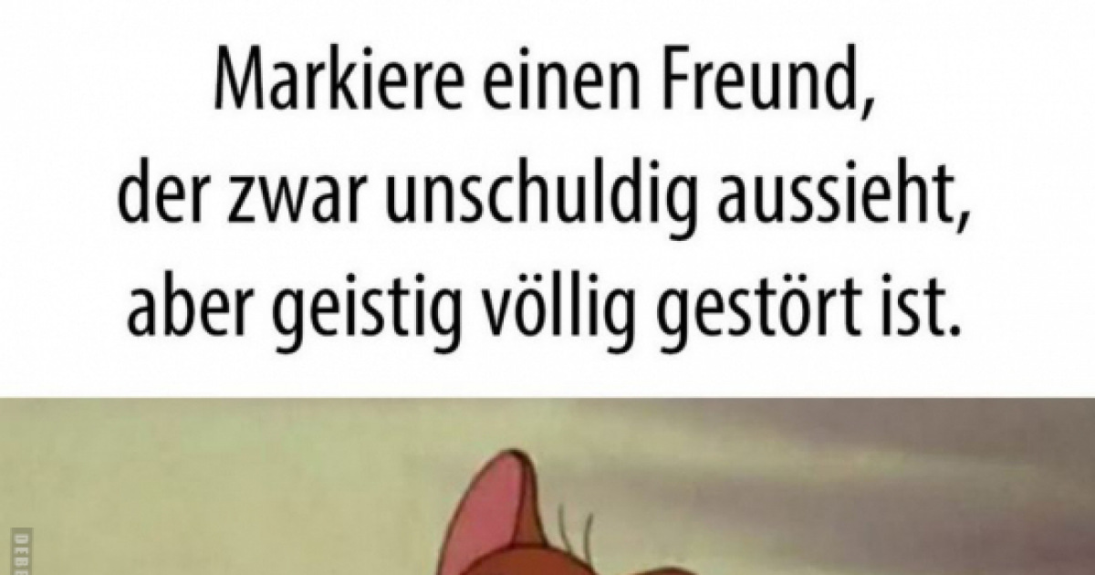 10 lustige Bilder Unschuldig - Seite (2) - DEBESTE.de
