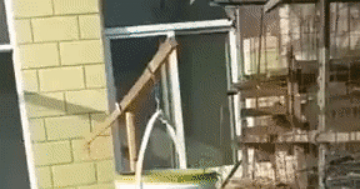 Neue Bilder und Memes - Tauben Gif - lustig, kostenlos - DEBESTE.de