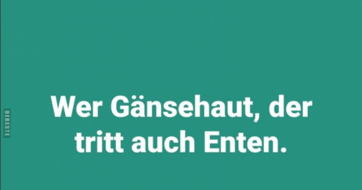 enten Witze und Sprüche - DEBESTE.de