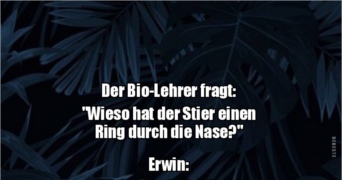 tier Witze und Sprüche - DEBESTE.de