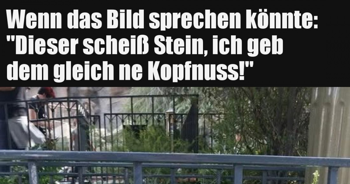 Neue Bilder und Memes - S Bild - lustig, kostenlos - DEBESTE.de
