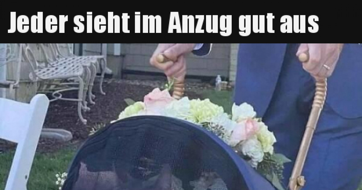140 lustige Bilder Anzug - Seite (4) - DEBESTE.de