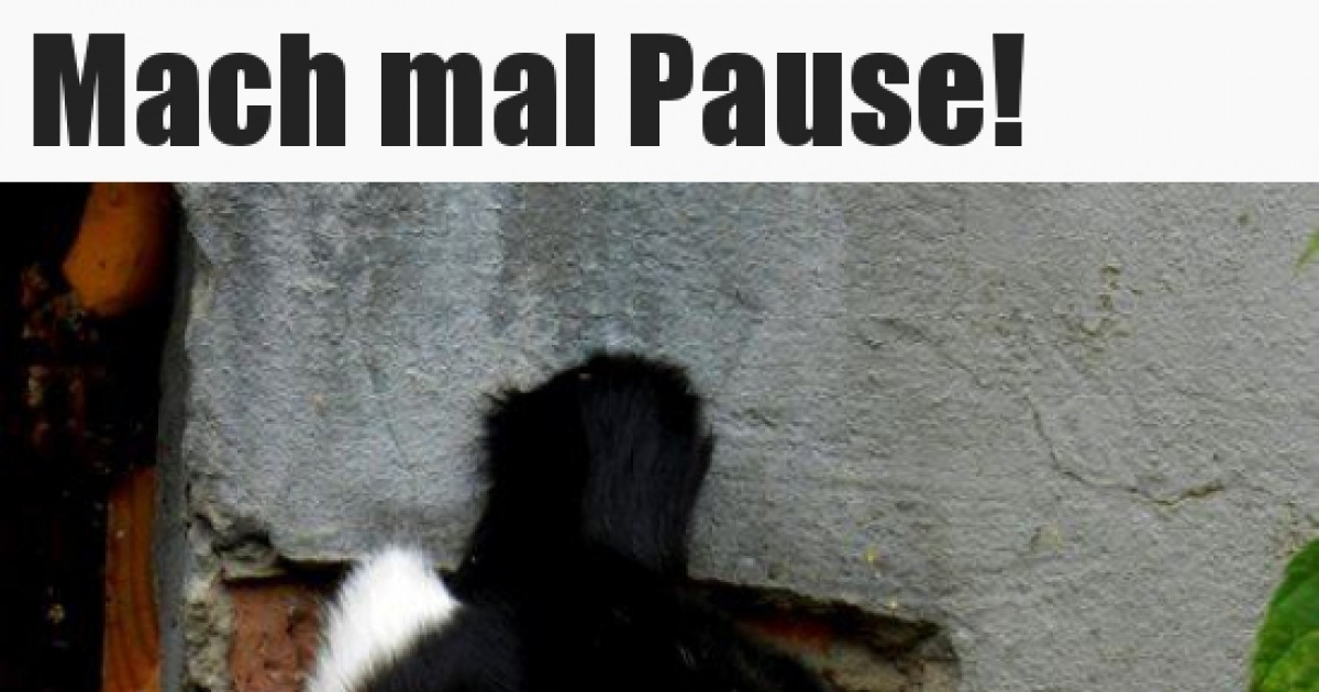 Neue Bilder und Memes - Mach Mal Pause - lustig, kostenlos - DEBESTE.de