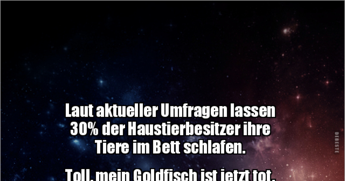 tier Witze und Sprüche - DEBESTE.de