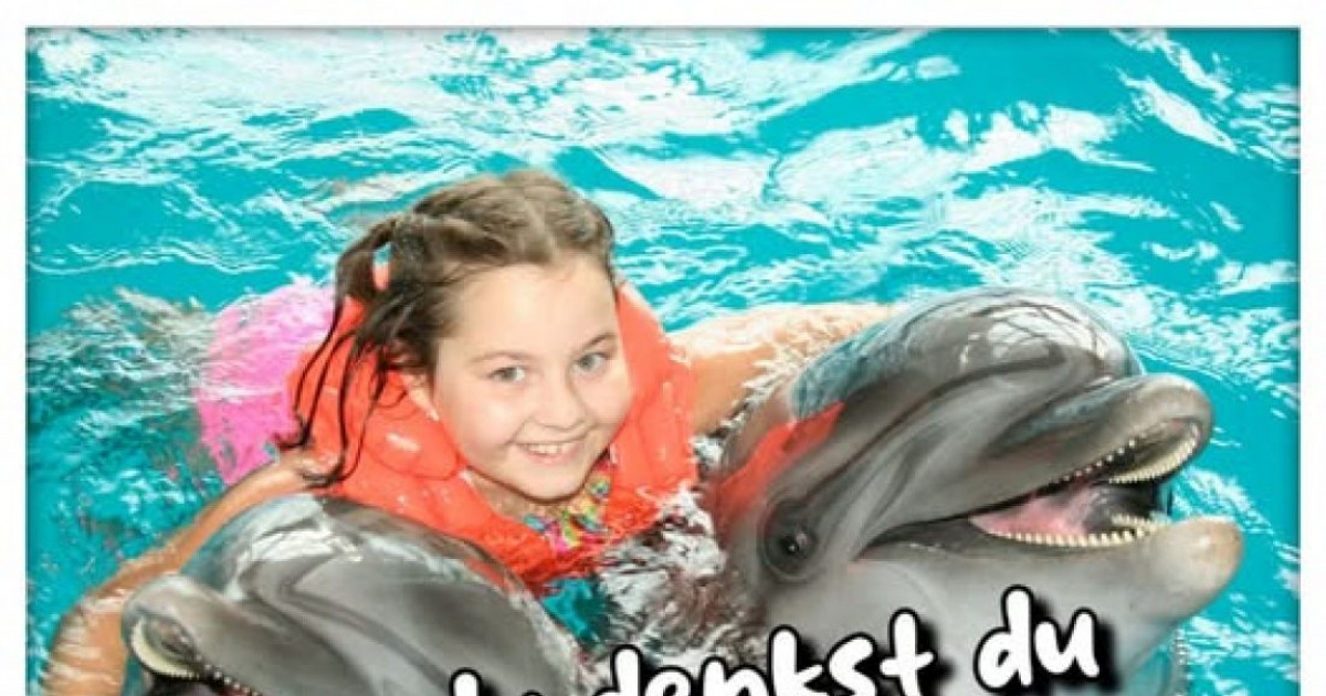 Neue Bilder und Memes - Delfintherapie - lustig, kostenlos - DEBESTE.de