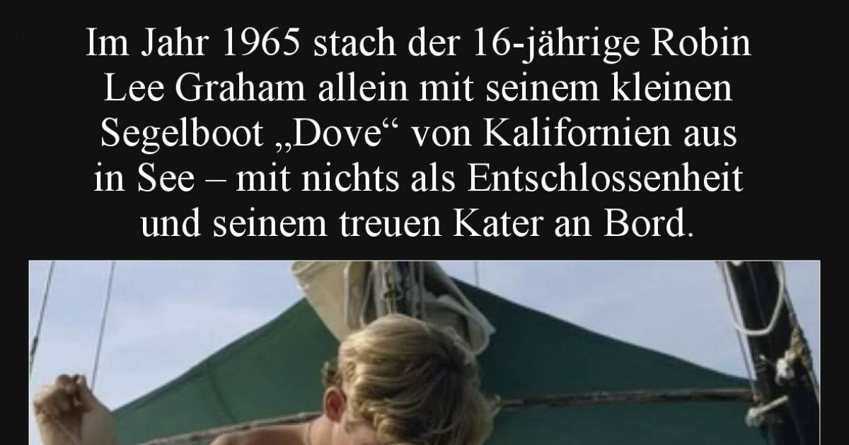 Neue Bilder und Memes - Segelboot - lustig, kostenlos - DEBESTE.de