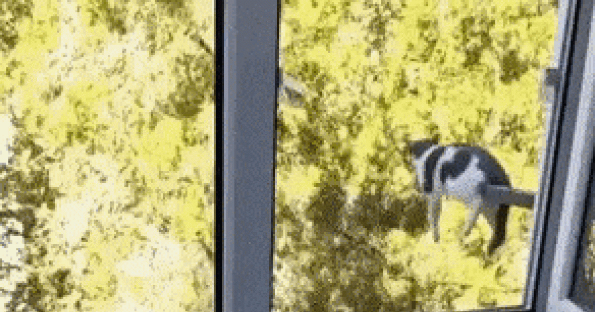 Neue Bilder und Memes - Chillen Gifs - lustig, kostenlos - DEBESTE.de