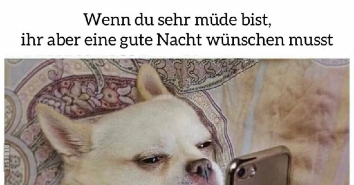 Neue Bilder und Memes - Gute Nacht Wünsche - lustig, kostenlos - DEBESTE.de