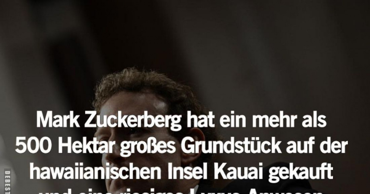 Neue Bilder und Memes - Mark Zuckerberg - lustig, kostenlos - DEBESTE.de
