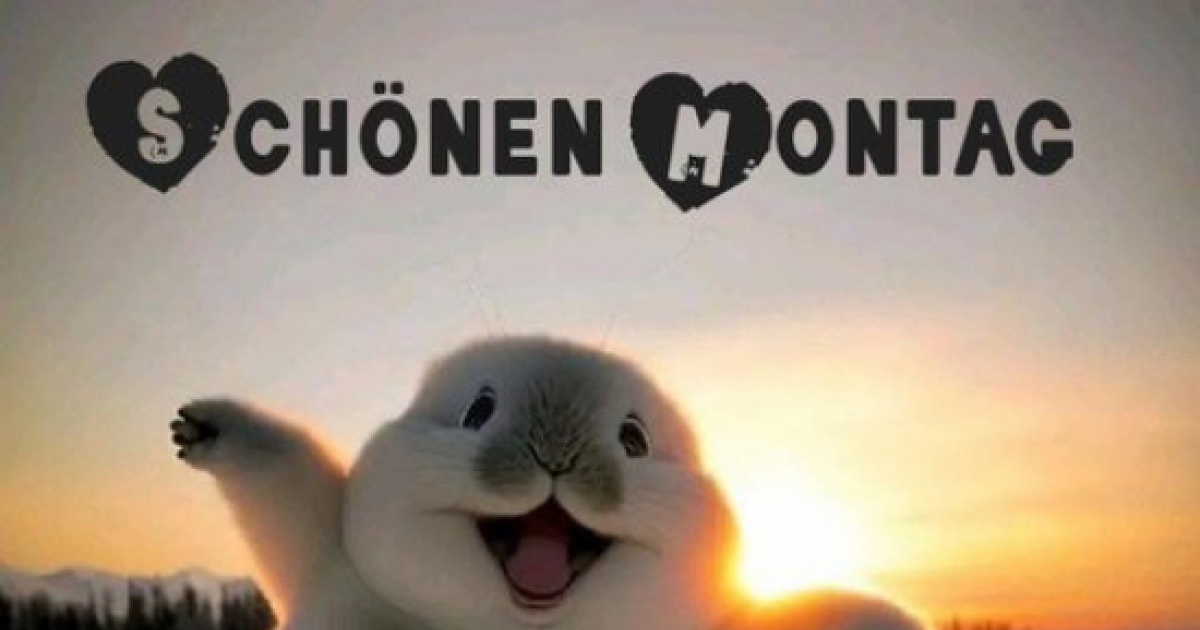 Schonen Montag Bilder Lustig