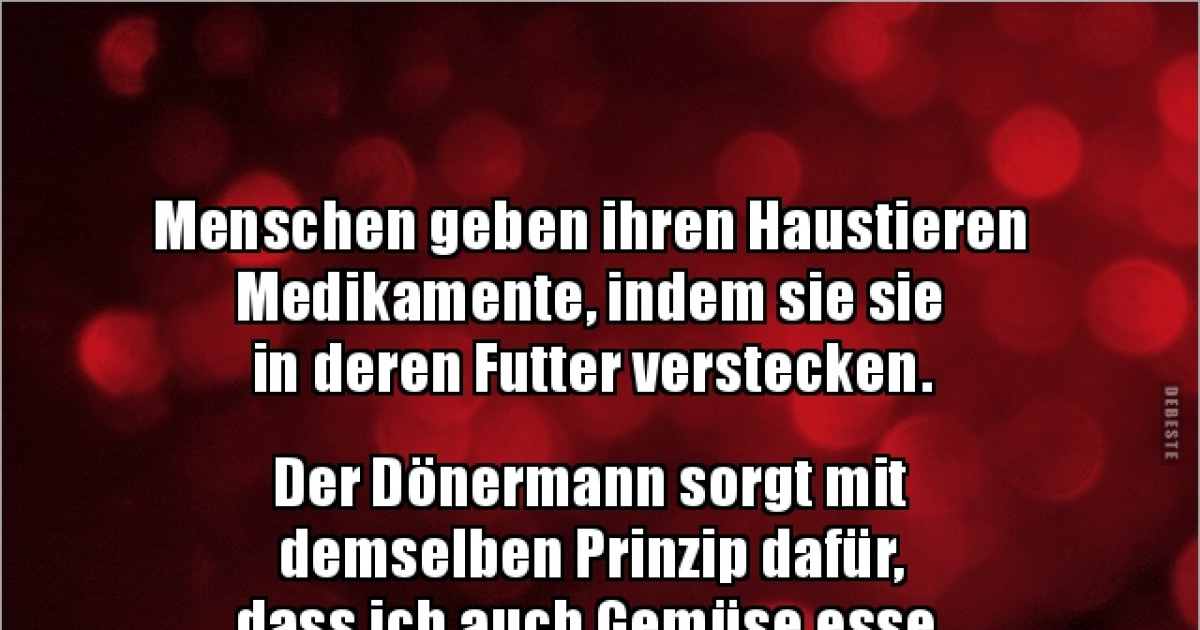 tier Witze und Sprüche - DEBESTE.de