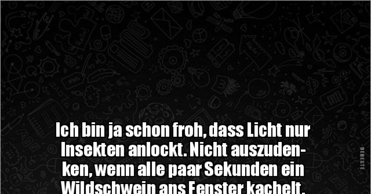 wildschwein Witze und Sprüche - DEBESTE.de