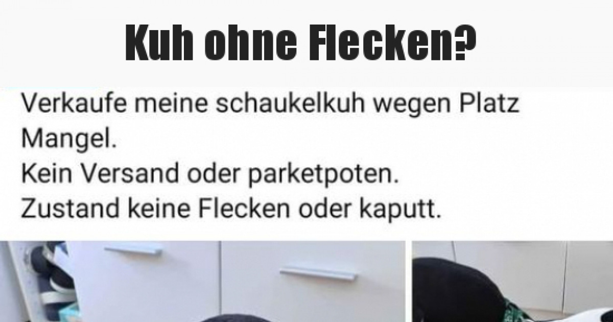 350 lustige Bilder Kaputt - Seite (34) - DEBESTE.de