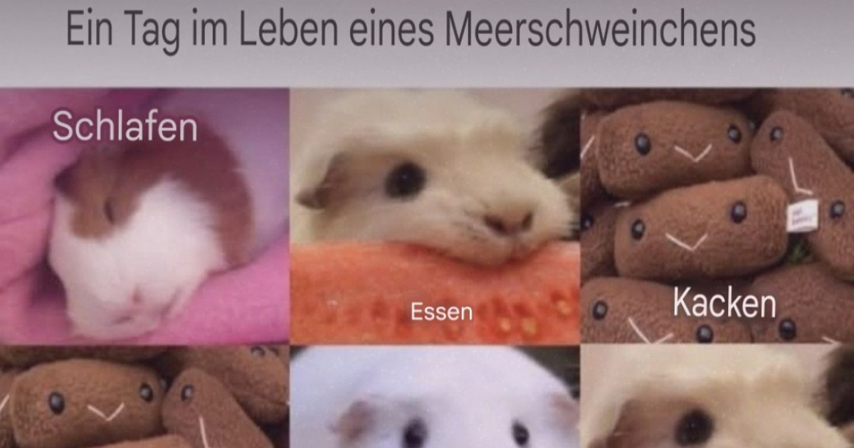 Neue Bilder und Memes - Essen Ist Alles - lustig, kostenlos - DEBESTE.de
