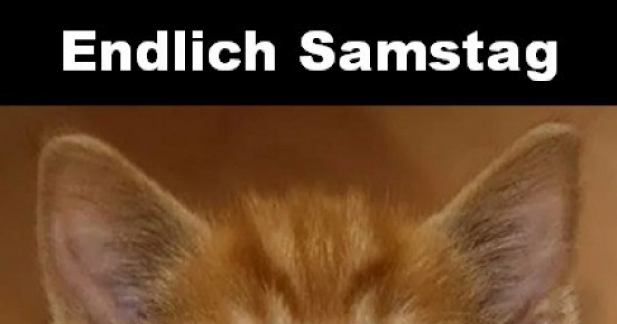 Neue Bilder und Memes - Endlich Samstag - lustig, kostenlos - DEBESTE.de