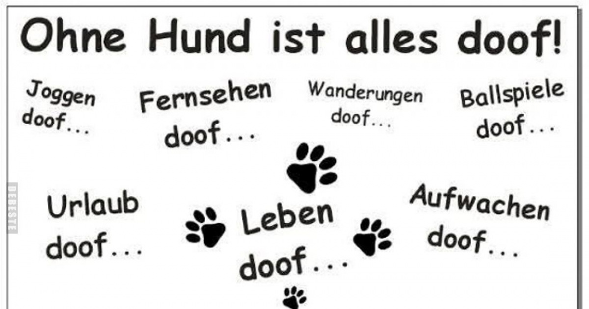Neue Bilder und Memes - Alles Doof - lustig, kostenlos - DEBESTE.de