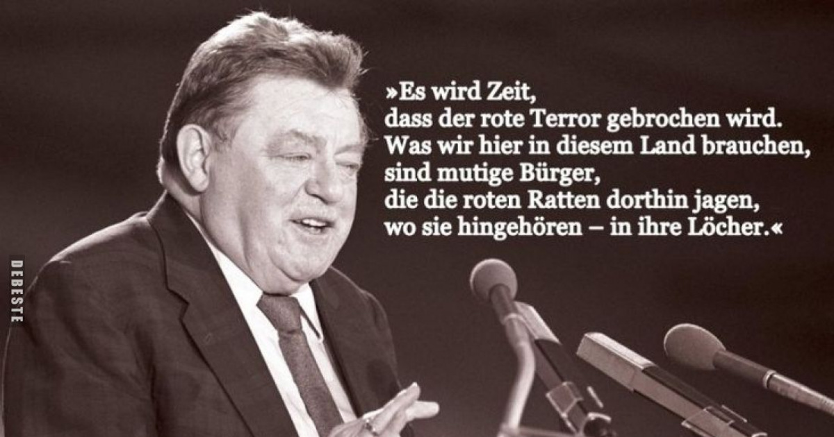 Neue Bilder und Memes - Ratten - lustig, kostenlos - DEBESTE.de