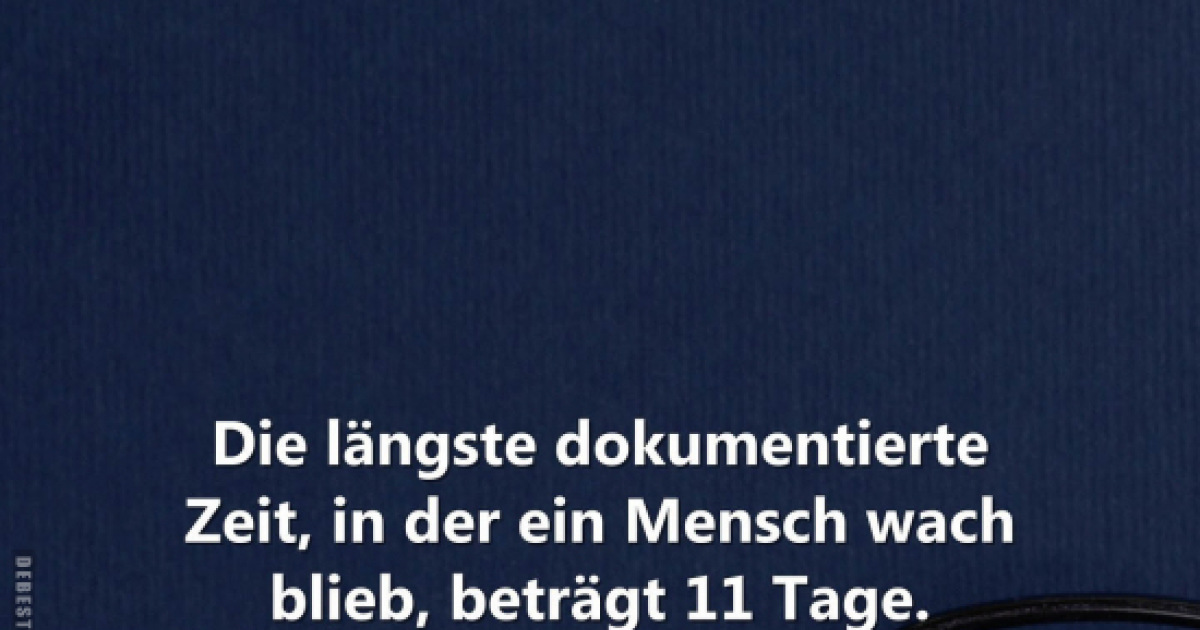 24840 lustige Bilder Ach - Seite (1237) - DEBESTE.de