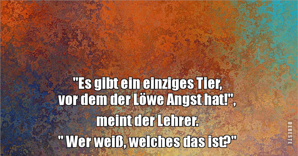 tier Witze und Sprüche - DEBESTE.de