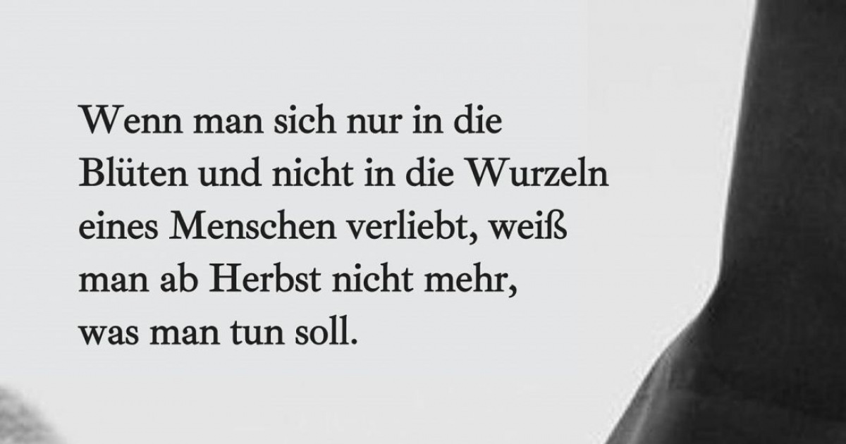 Neue Bilder und Memes - Wurzeln - lustig, kostenlos - DEBESTE.de