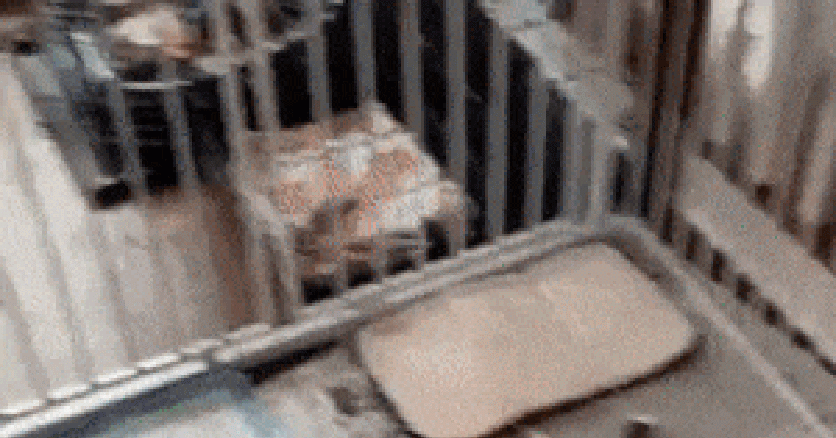 1680 lustige Bilder Gif - Seite (129) - DEBESTE.de