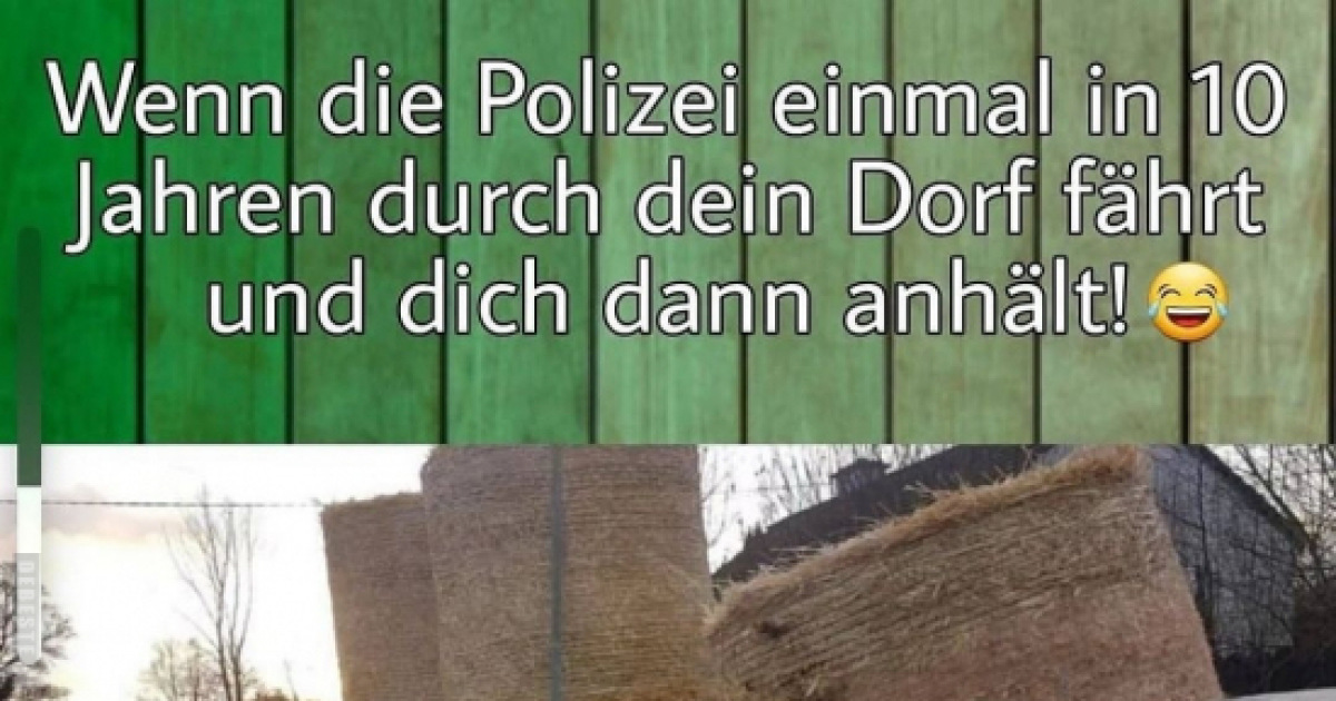 10 lustige Bilder H - Seite (8496) - DEBESTE.de