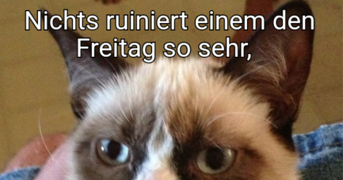 Neue Bilder und Memes - Erst Donnerstag - lustig, kostenlos - DEBESTE.de