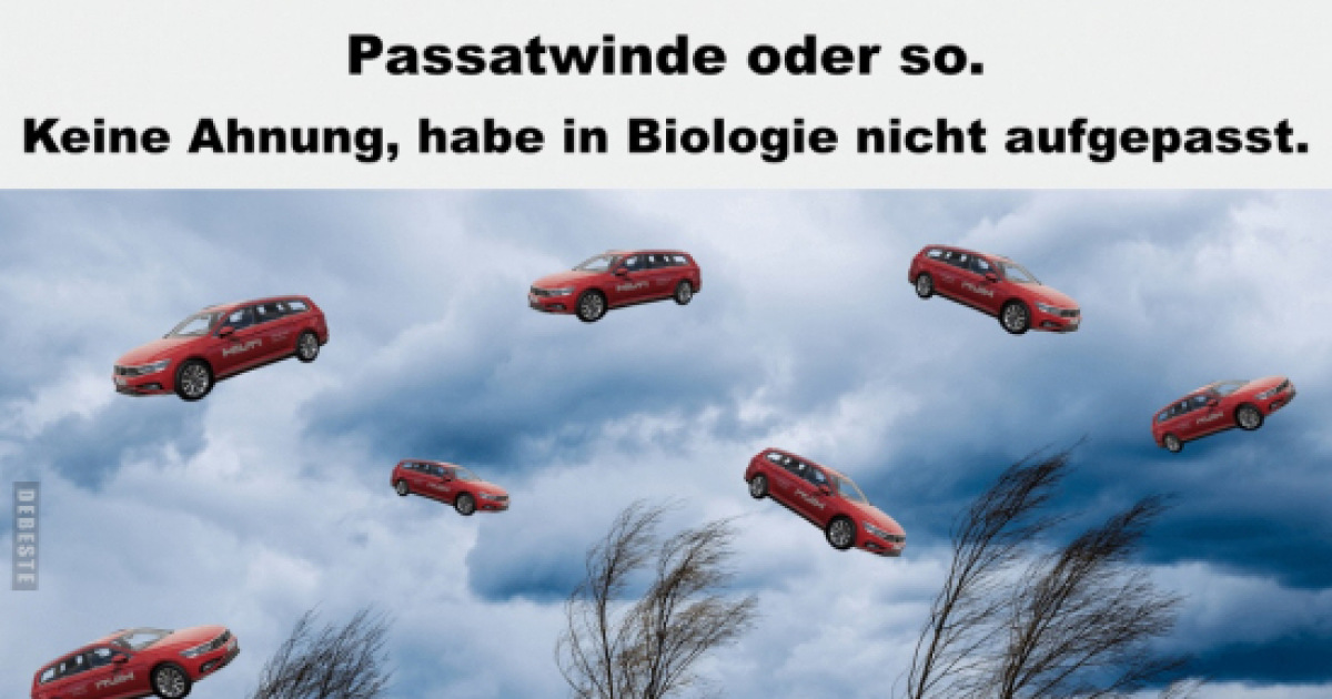 Neue Bilder und Memes - Passat - lustig, kostenlos - DEBESTE.de