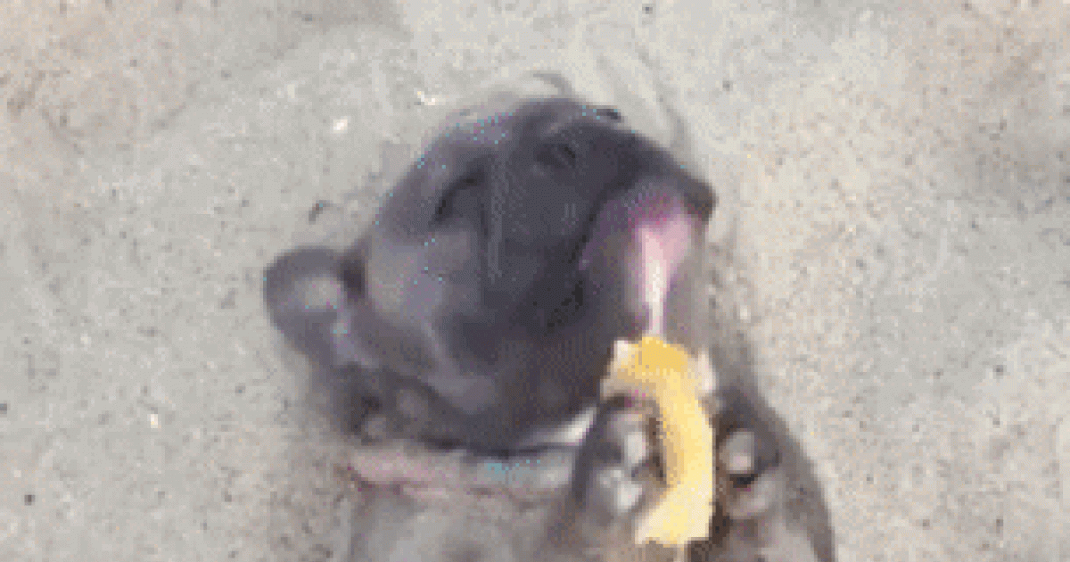 Neue Bilder und Memes - Strand Gifs - lustig, kostenlos - DEBESTE.de