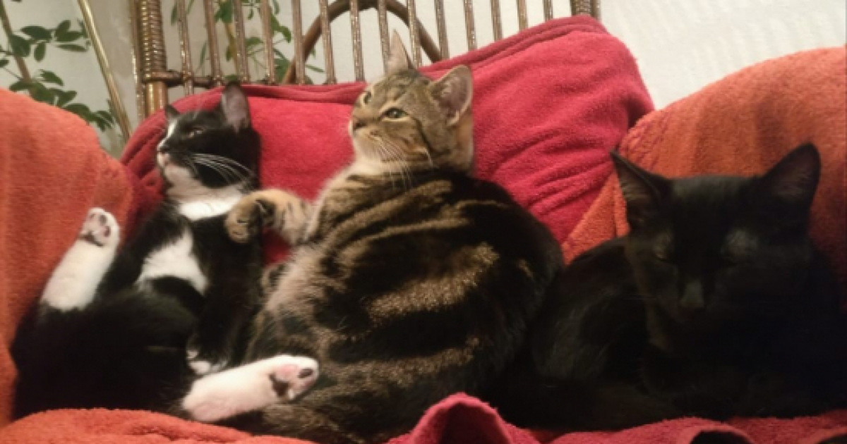 Neue Bilder und Memes - Beine Hochlegen - lustig, kostenlos - DEBESTE.de