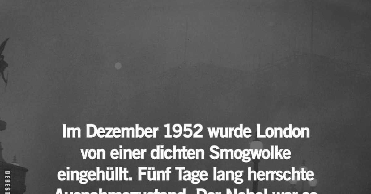 Neue Bilder und Memes - Nebel - lustig, kostenlos - DEBESTE.de