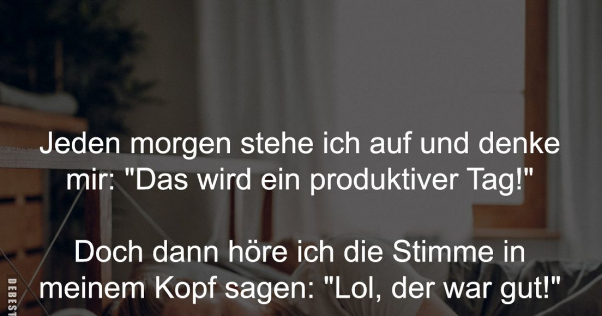 Neue Bilder und Memes - Stimme - lustig, kostenlos - DEBESTE.de