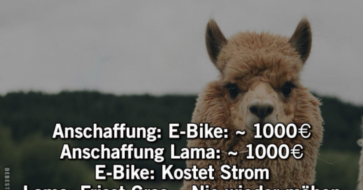 Neue Bilder und Memes - Spucken - lustig, kostenlos - DEBESTE.de