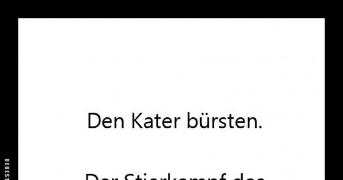 Neue Bilder und Memes - Kater - lustig, kostenlos - DEBESTE.de