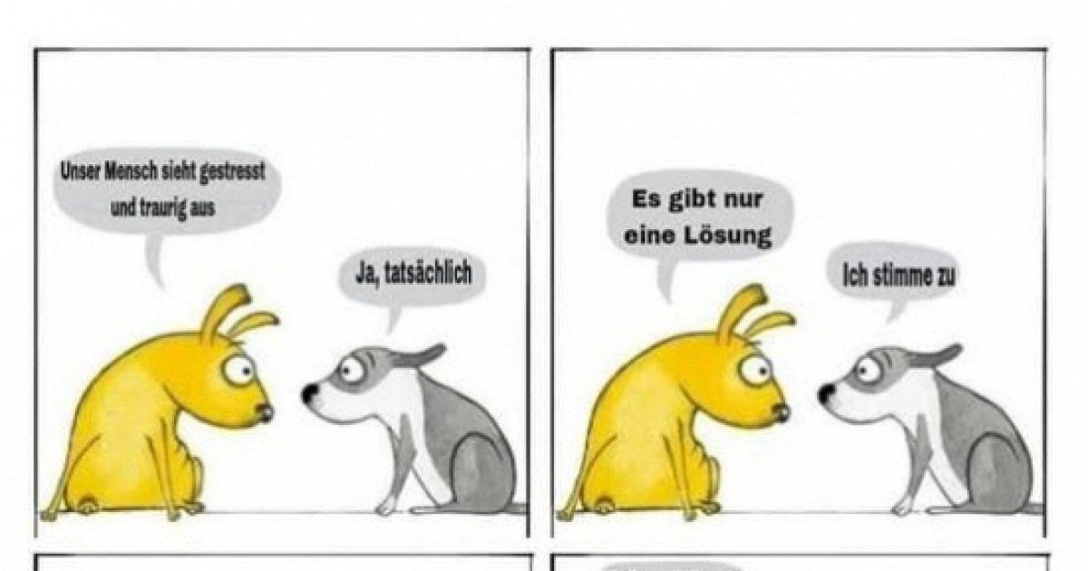 390 lustige Bilder Traurig - Seite (6) - DEBESTE.de