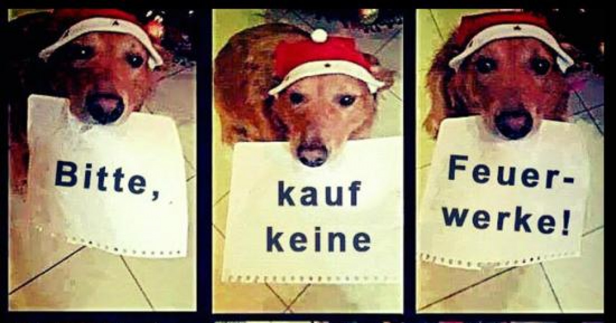 Neue Bilder und Memes - Silvester 2016 - lustig, kostenlos - DEBESTE.de