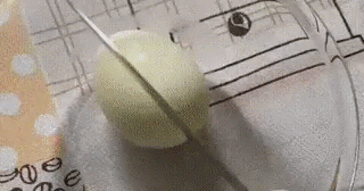 1680 lustige Bilder Gif - Seite (169) - DEBESTE.de