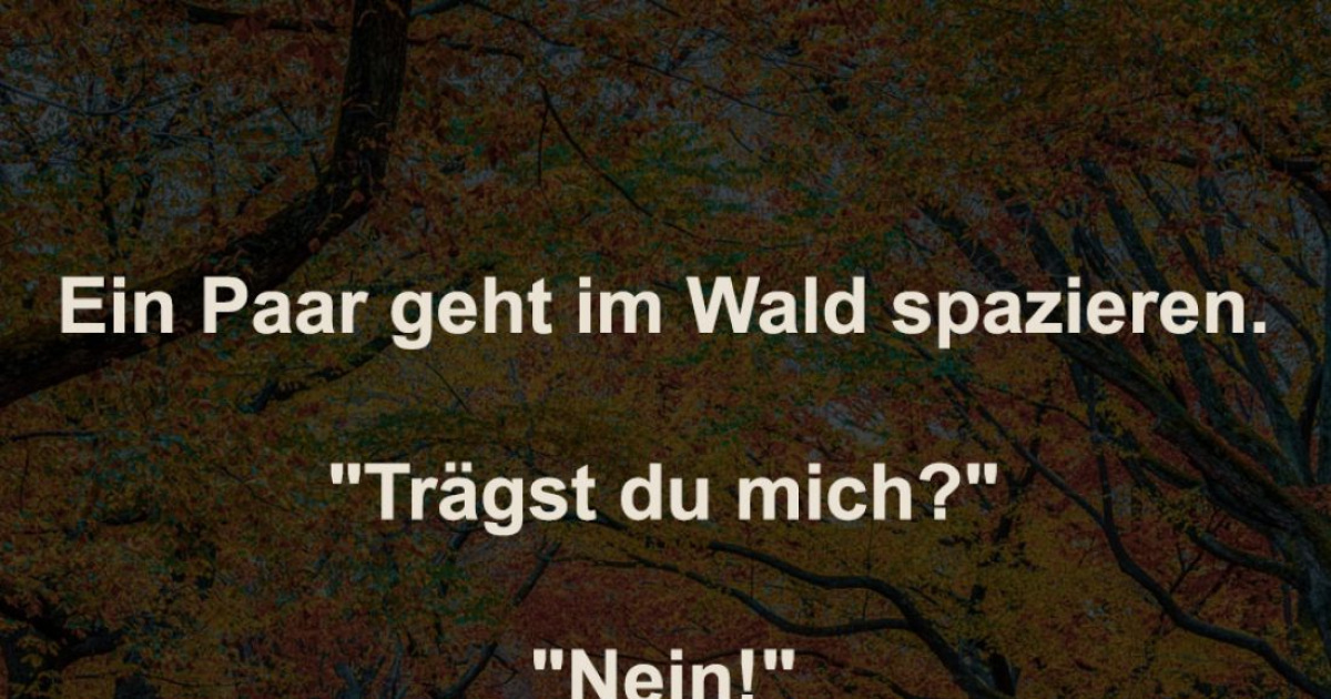 Neue Bilder und Memes - Wald - lustig, kostenlos - DEBESTE.de