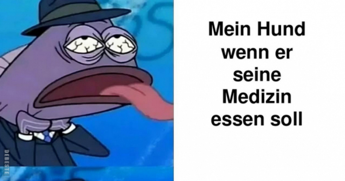 250 lustige Bilder Fressen - Seite (4) - DEBESTE.de