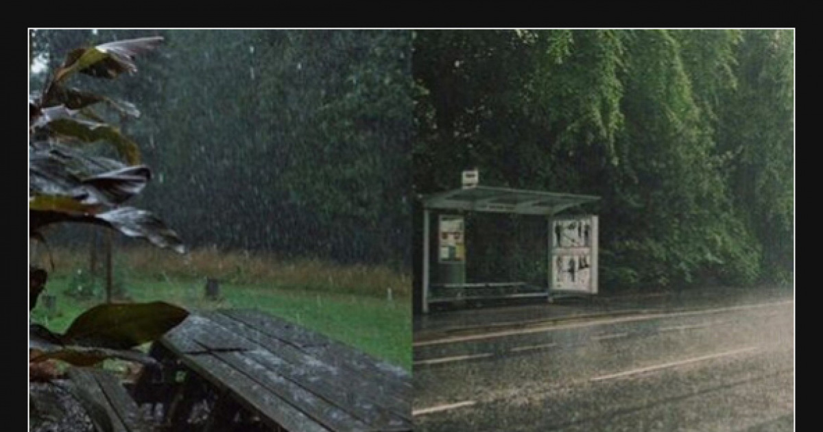 Neue Bilder und Memes - Von Regen - lustig, kostenlos - DEBESTE.de