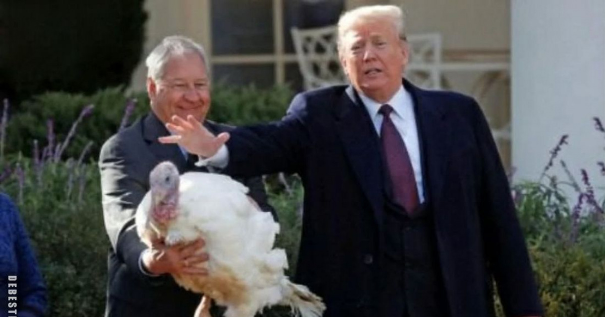 Neue Bilder und Memes - Donald Trump - lustig, kostenlos - DEBESTE.de