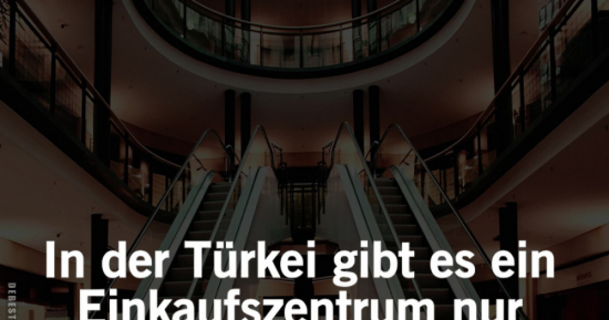 88260 lustige Bilder Ei - Seite (4630) - DEBESTE.de