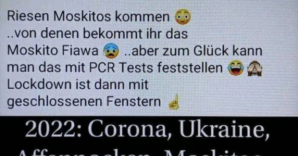 Neue Bilder und Memes - Pcr Test - lustig, kostenlos - DEBESTE.de