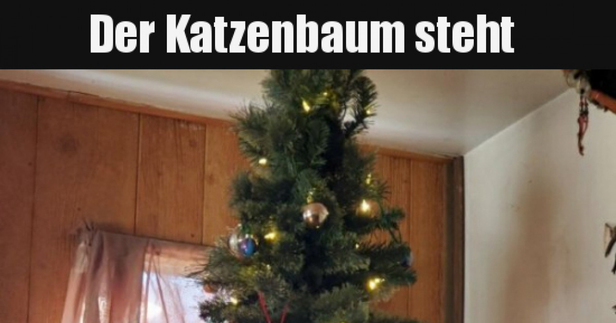 10 lustige Bilder Baum Steht - Seite (2) - DEBESTE.de