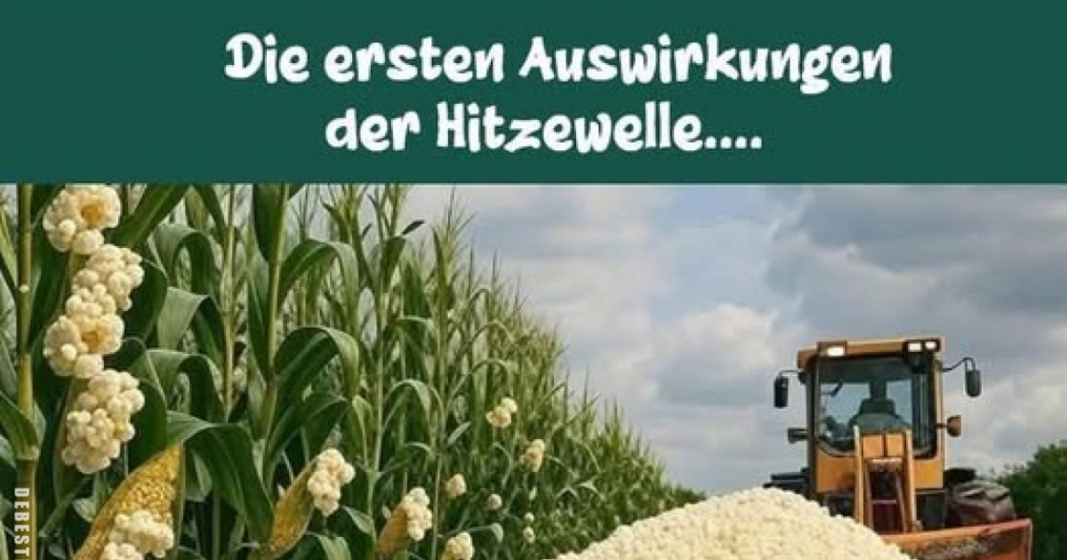 Neue Bilder und Memes - Hitze - lustig, kostenlos - DEBESTE.de